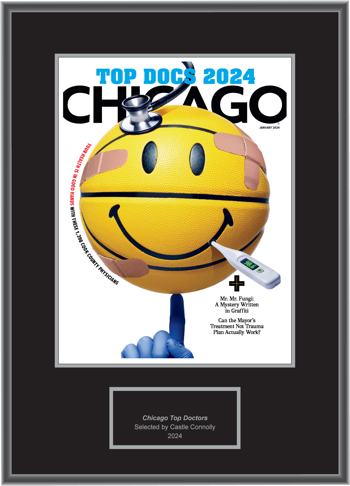 2024 Regional - Chicago Magazine - Plaque – Castle Connolly - Top Doctors